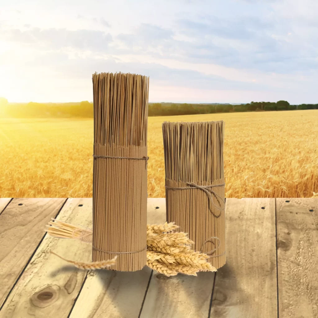 Nhang lúa bảo vệ hốc mũi - SÀI GÒN TCS